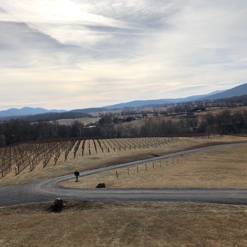 Starting the New Year at Delaplane Cellars – Virginia Wine Time